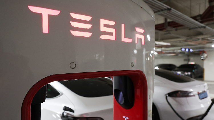 Lithium miner Sigma jumps on report Tesla considering buyout - CGTN
