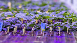 China to strengthen basic research, diversify funding - CGTN