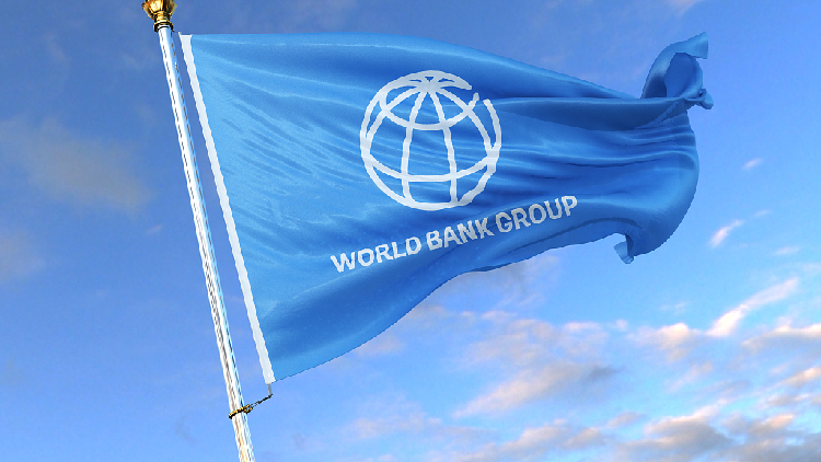 World Bank promises 'concessionality' in debt restructuring - CGTN