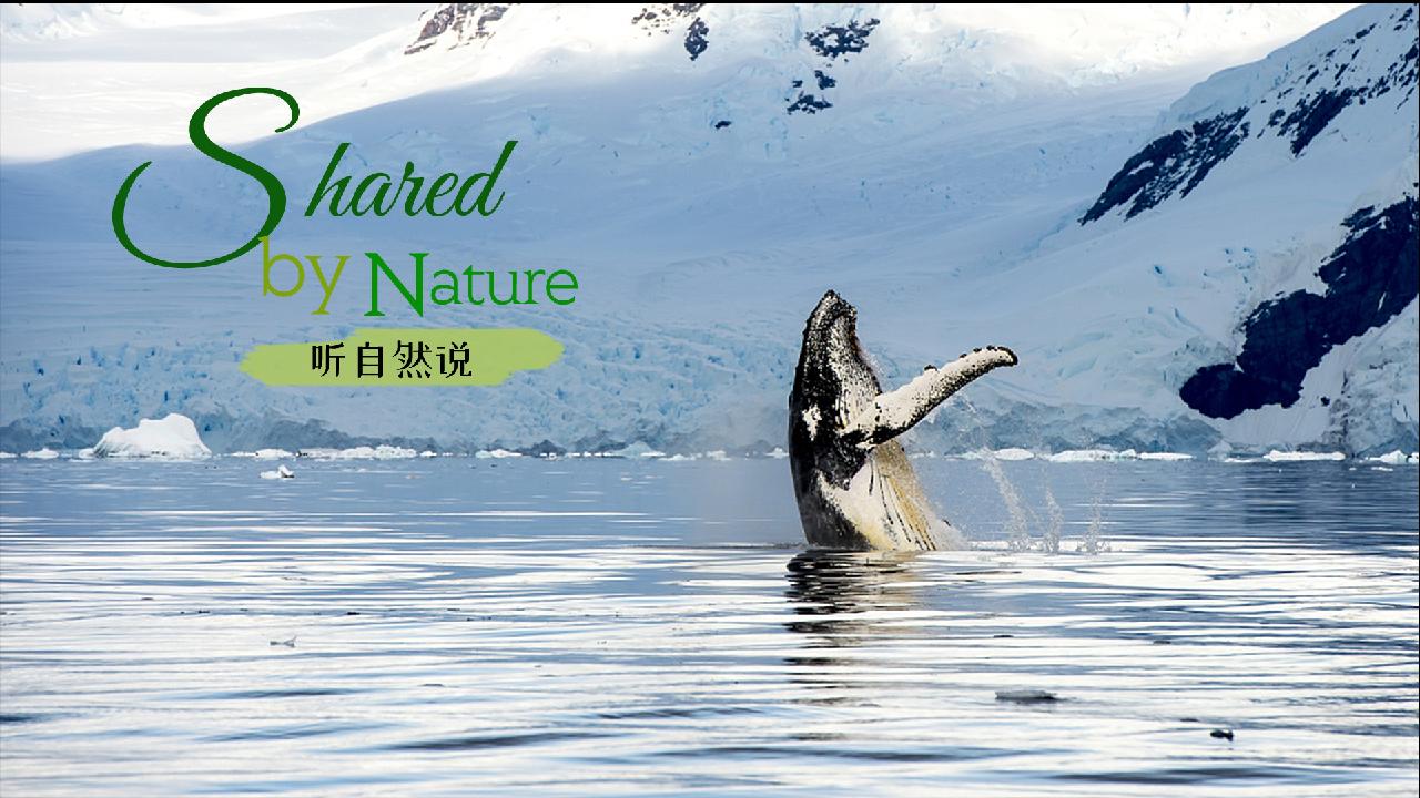 Shared by Nature: The wild-type marine island national parks - CGTN