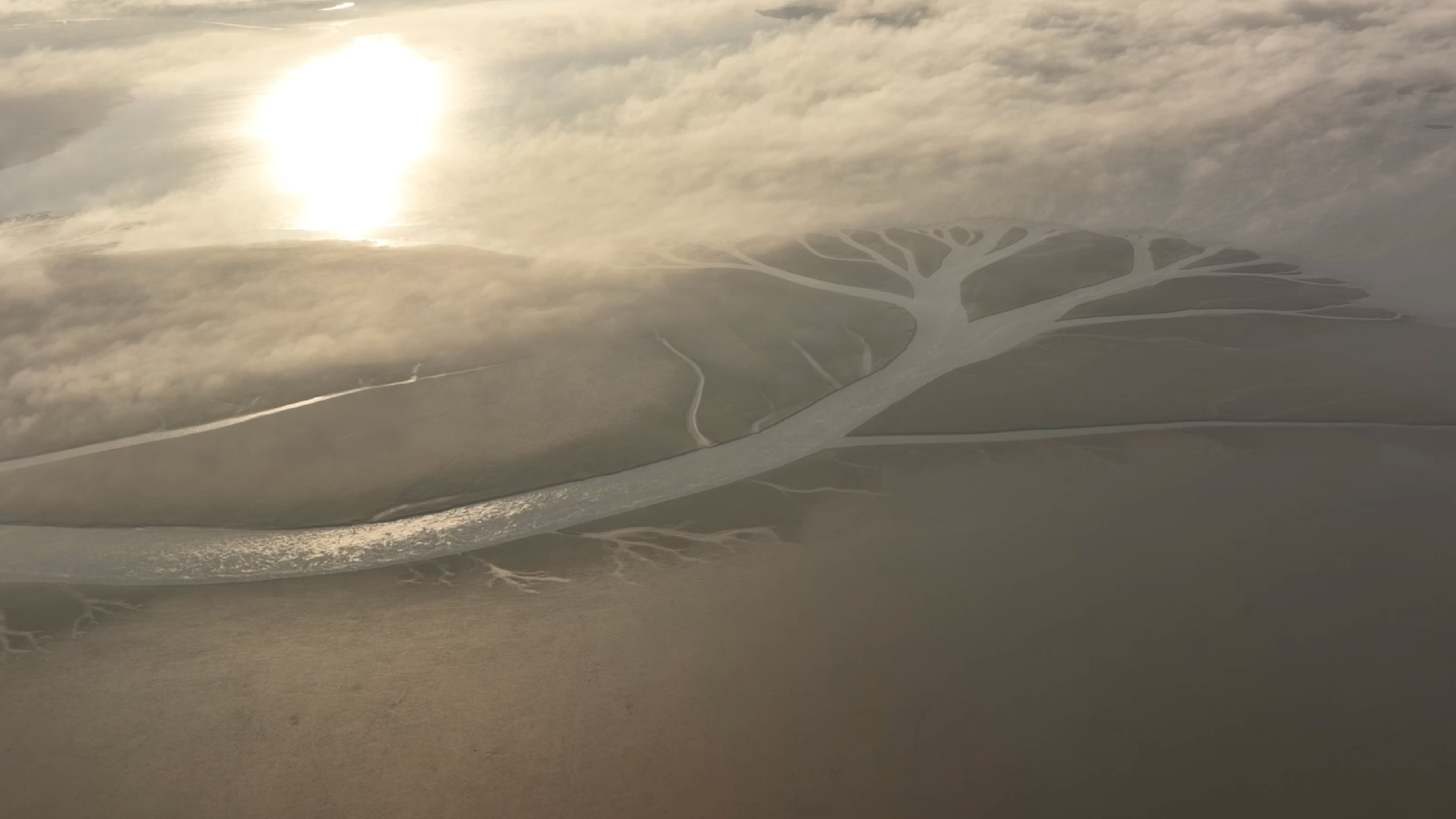 Jiangxi Poyang Lake Series | Episode 10: Revitalized Poyang - CGTN
