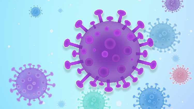 China CDC closely monitors COVID-19 virus strains: latest data - CGTN