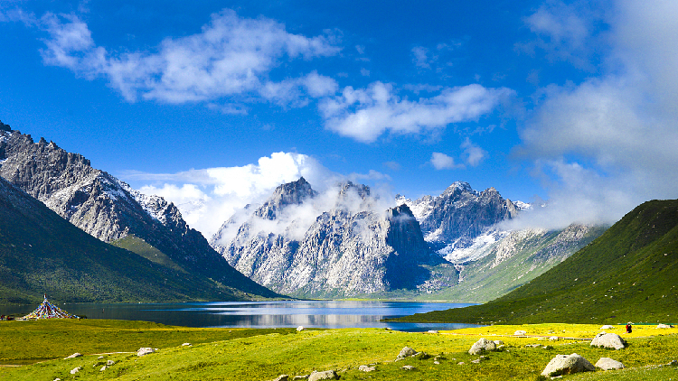 New Asplenium species discovered on Qinghai-Tibet Plateau - CGTN