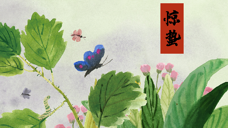 China’s 24 Solar Terms: ‘The Awakening of Insects’ - CGTN