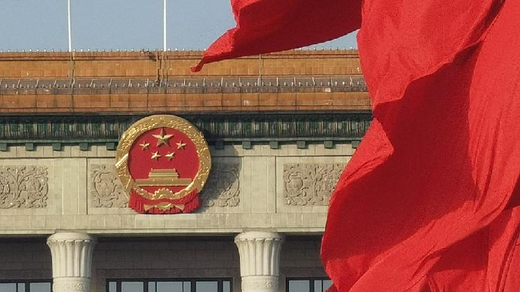 Plan on reforming State Council institutions submitted for review - CGTN