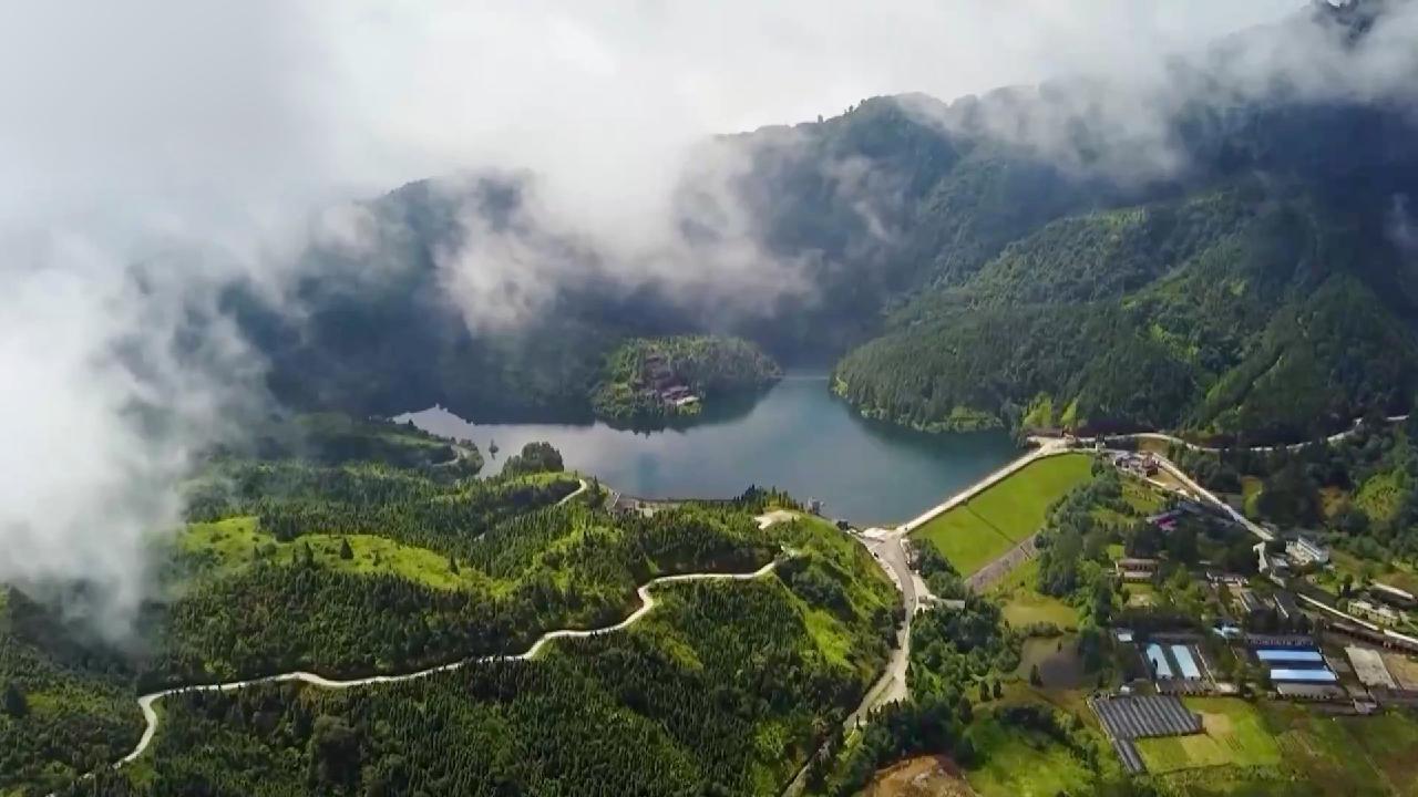 China leads global forest conservation efforts - CGTN