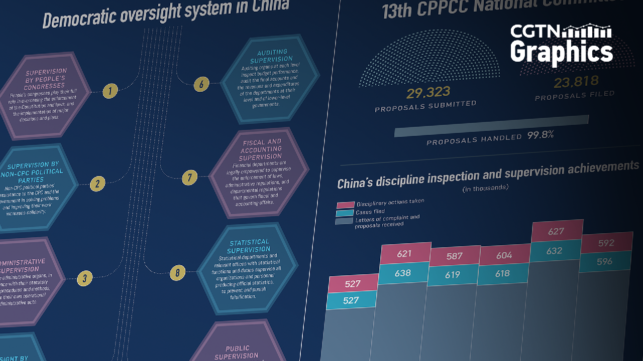 Graphics: How does China's democratic supervision system work? - CGTN