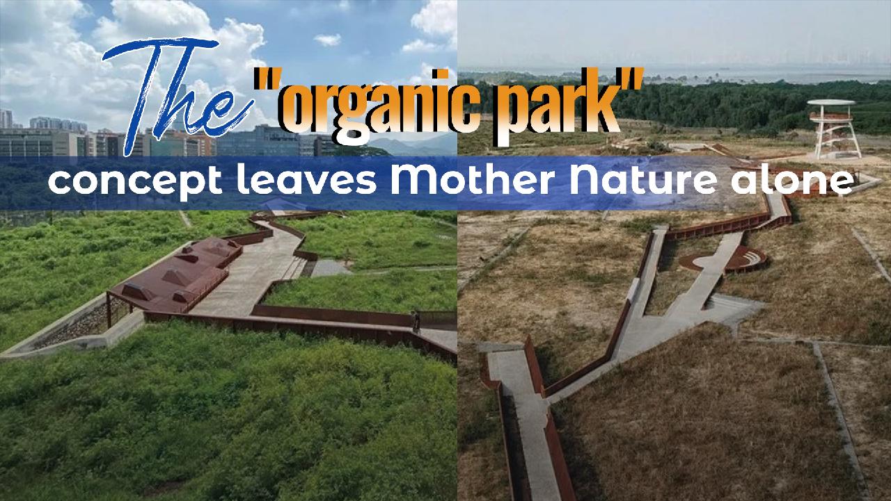 The 'organic park' concept leaves Mother Nature alone - CGTN