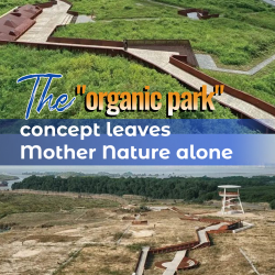 The 'organic park' concept leaves Mother Nature alone - CGTN