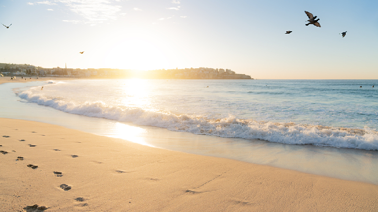 Sydney suffers through record heatwave not seen in 165 years - CGTN
