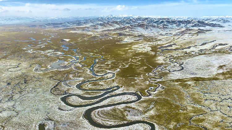 Scientists find rapid rise in global wetland methane emissions - CGTN