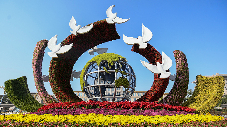 A look at China's democracy: How is it unique and distinctive? - CGTN