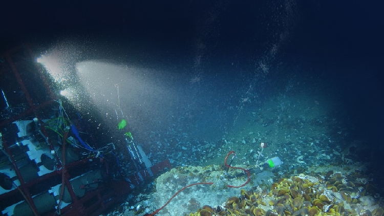 Long-term ocean probe platform deployed in South China Sea - CGTN