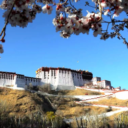 Live: Memorial hall marks liberation of over a million serfs in Lhasa ...