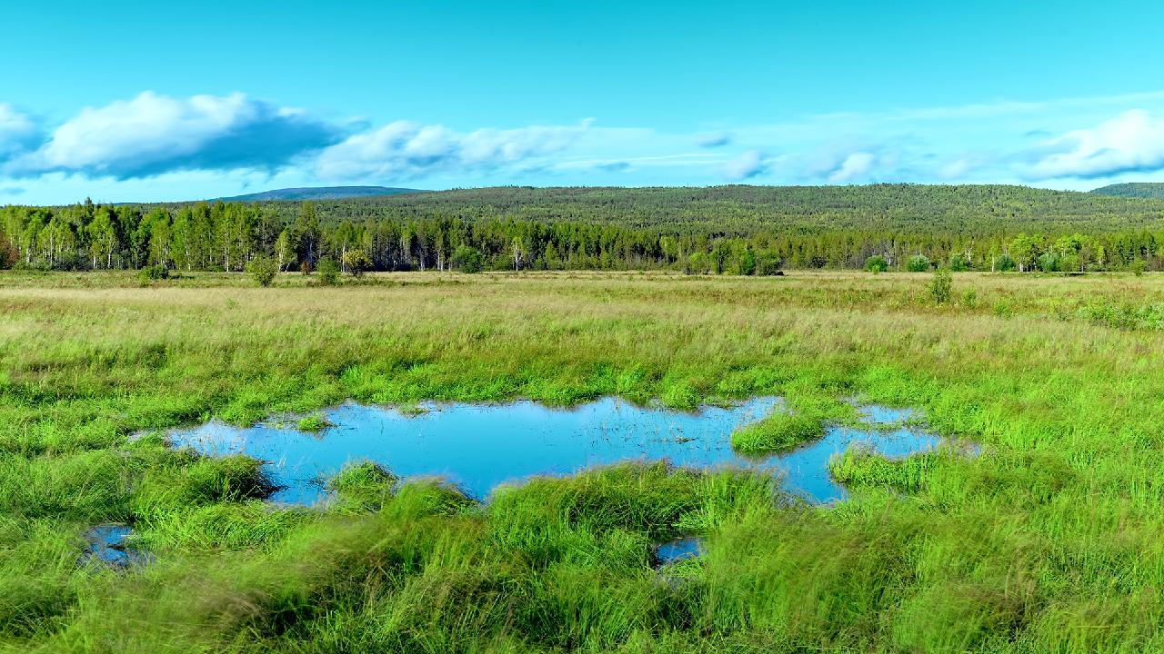 Hanma Series | Episode 3: The interdependence - CGTN