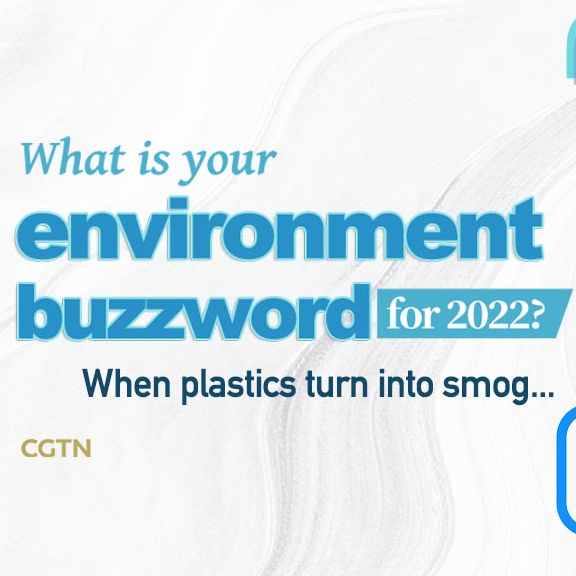 Environment Buzzword 2022: When plastics turn into smog... - CGTN