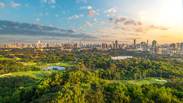 BizDataDive: Chinese modernization powers global green development - CGTN