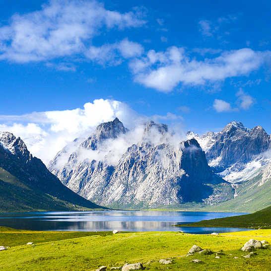 Ecological mechanism of Qinghai-Tibet Plateau shrub effects revealed - CGTN