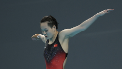 China's Wang Zongyuan, Chen Yiwen win golds at Diving World Cup - CGTN