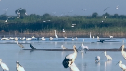 Yellow River in spring - CGTN