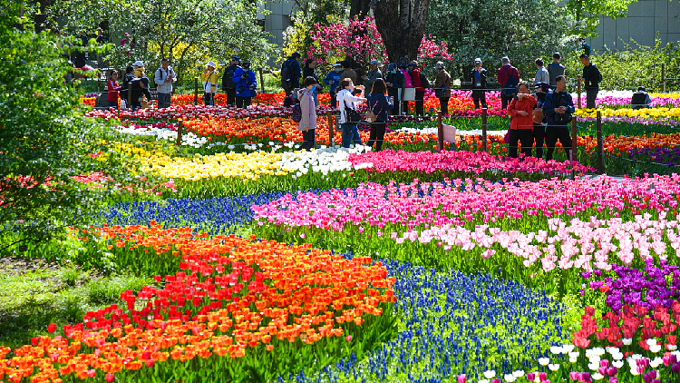 China National Botanical Garden makes huge strides year after founding ...