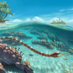 New species of Middle Triassic marine reptile discovered - CGTN