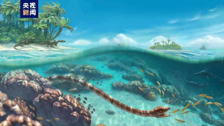 New species of Middle Triassic marine reptile discovered - CGTN