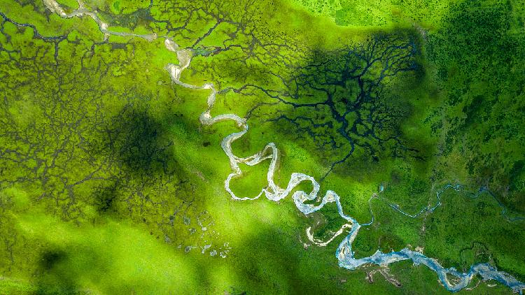 China's ecological 'red line' demarcation work completed - CGTN