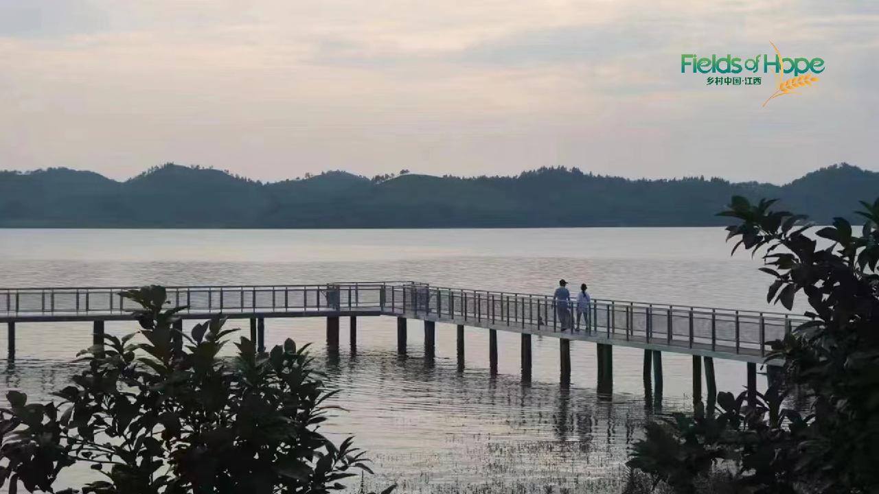 Live: Explore the balanced ecosystem of Poyang Lake - CGTN