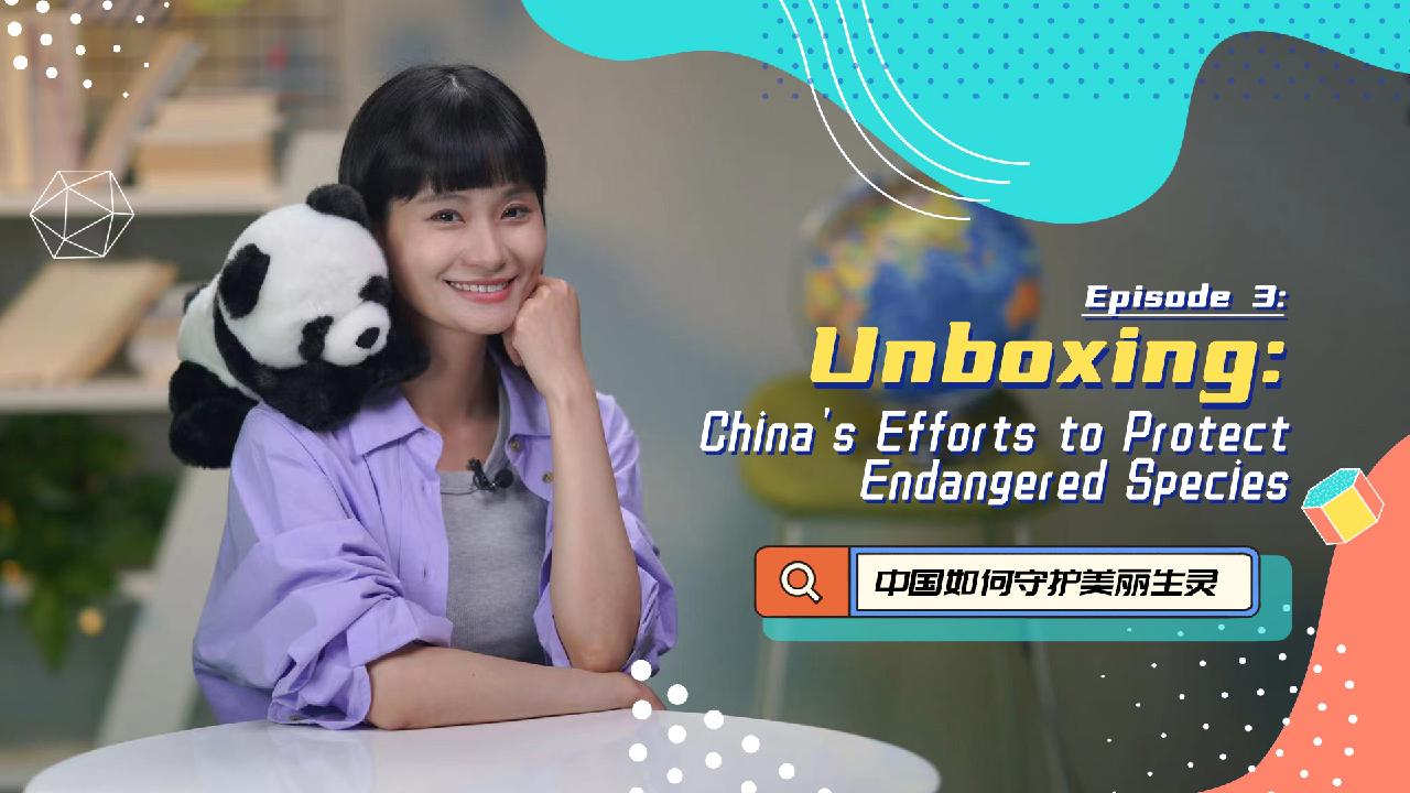 Unboxing: China's efforts to protect endangered species - CGTN