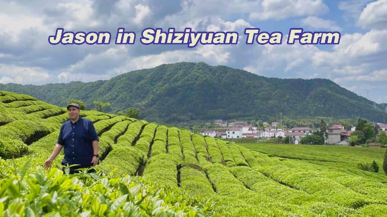 Jason shows you around a Chinese tea farm - CGTN