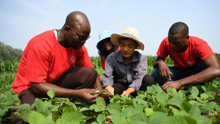 Why is China committed to aiding countries in need? - CGTN