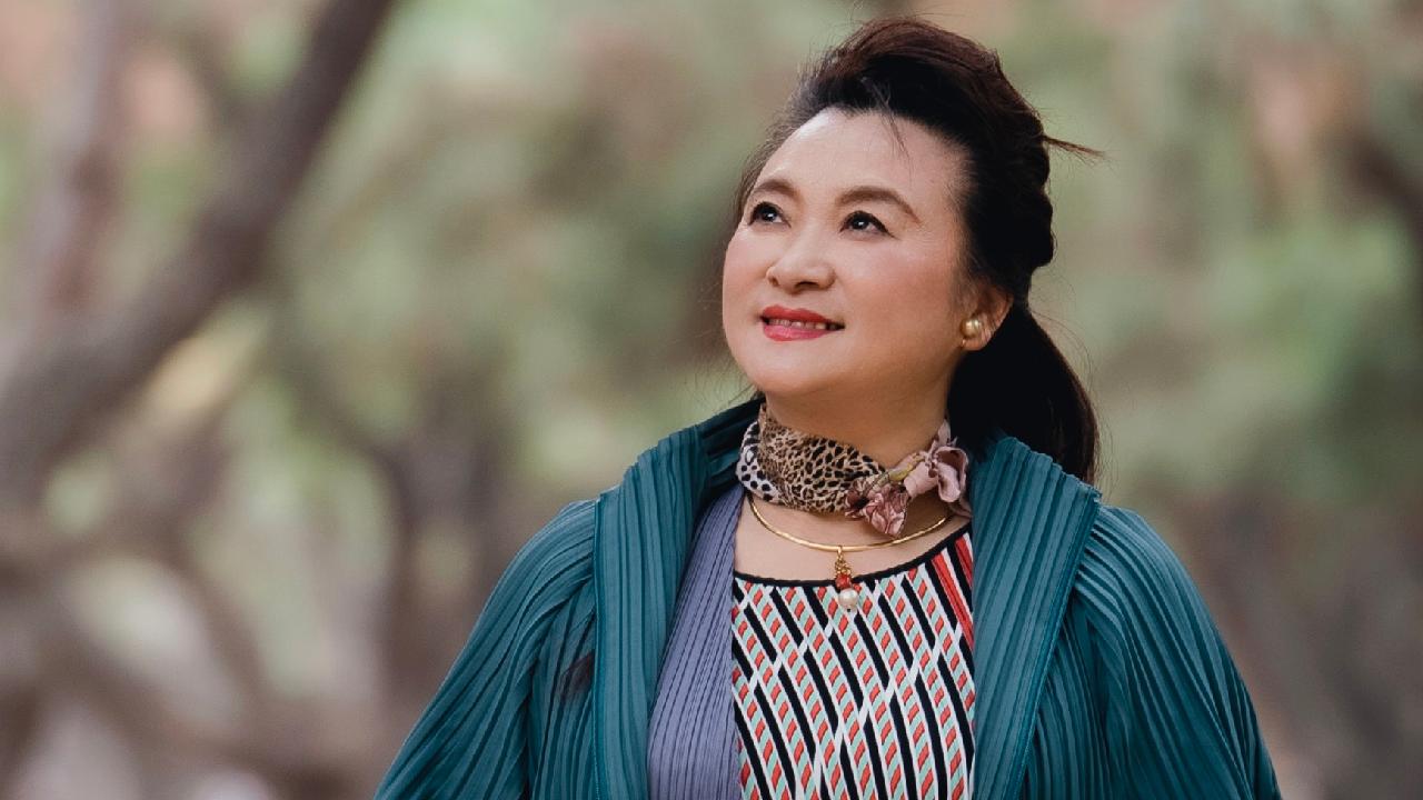 Chinese painter forges inimitable style after decades abroad - CGTN