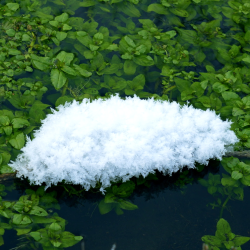 Vigorous Life Series | Episode 4: Vibrant winter - CGTN