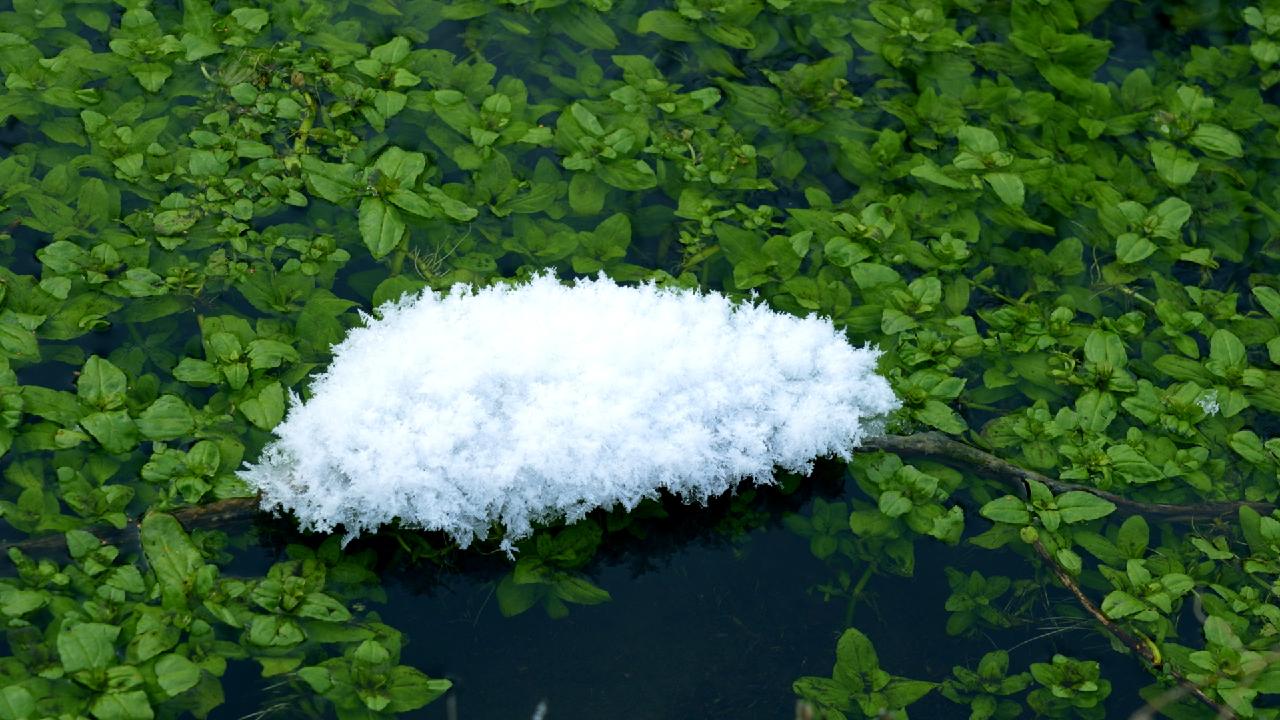 Vigorous Life Series | Episode 4: Vibrant winter - CGTN