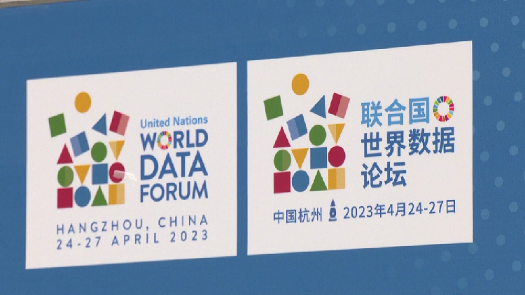 World Data Forum calls for data governance for sustainable development ...