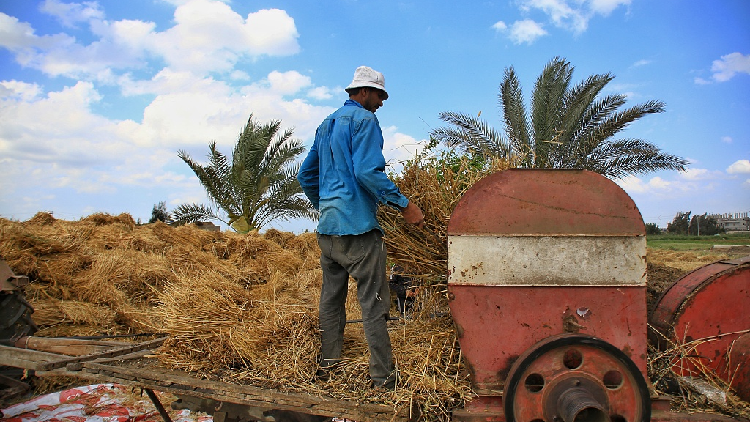 People in need of emergency food aid surged to 258 mln in 2022: UN - CGTN