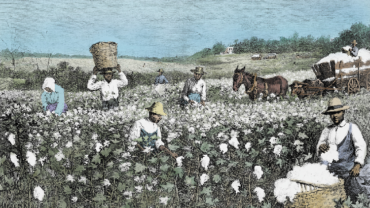 Legacy of slavery affects U.S. Black people daily: UN experts - CGTN