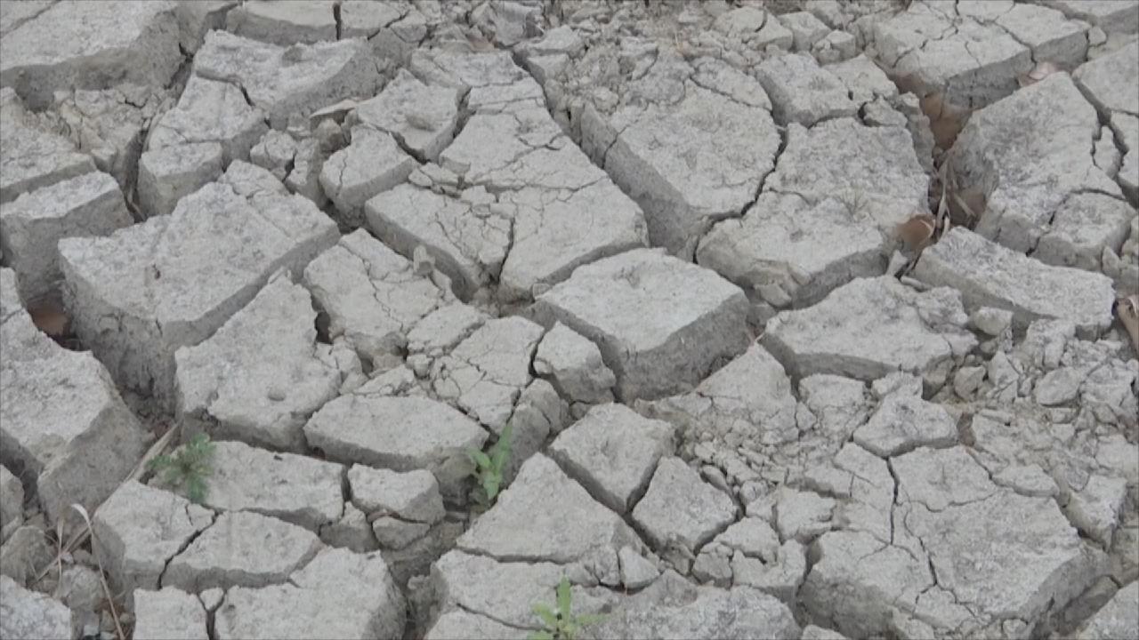 Drought 'crisis' officially declared in France's Pyrenees-Orientales - CGTN