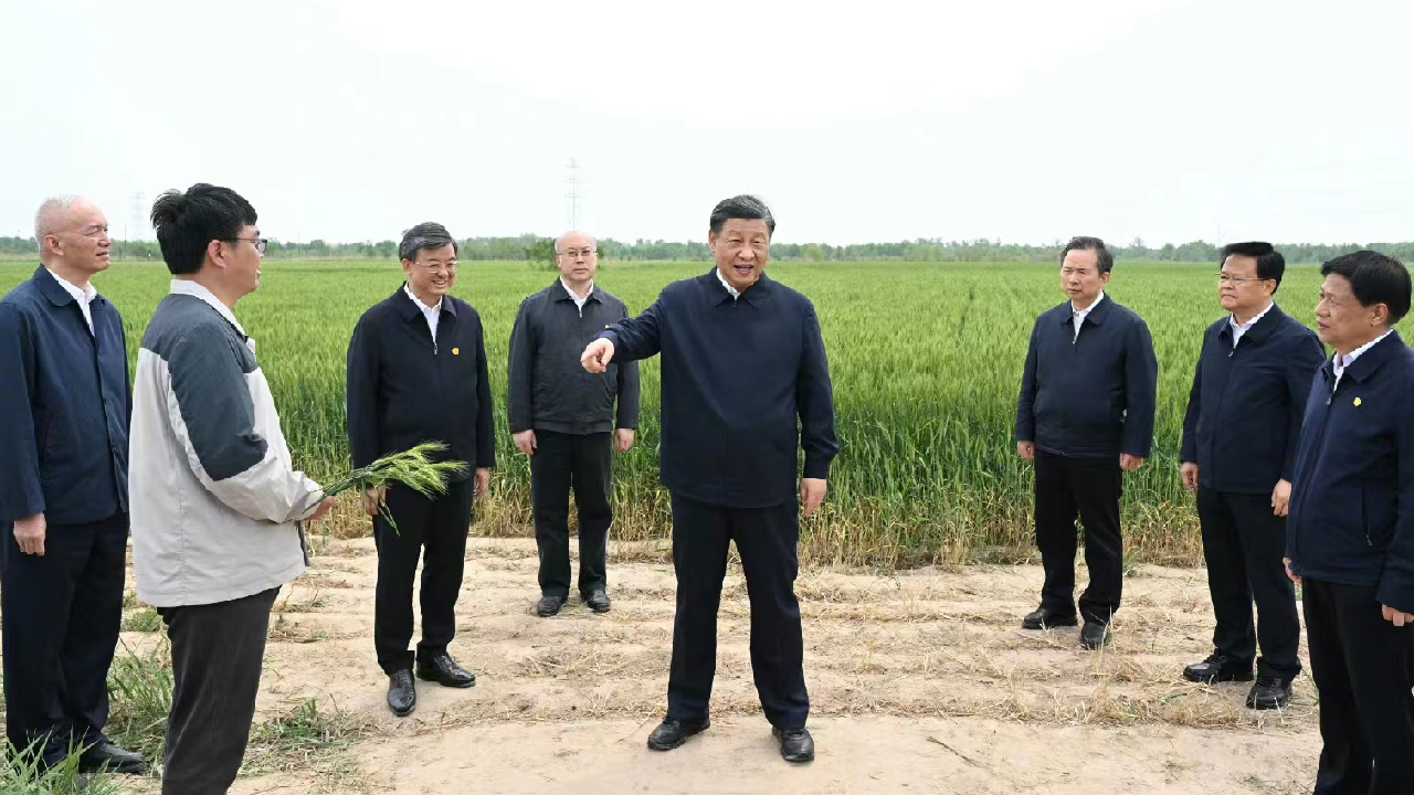 Xi visits city of Cangzhou in north China's Hebei Province - CGTN