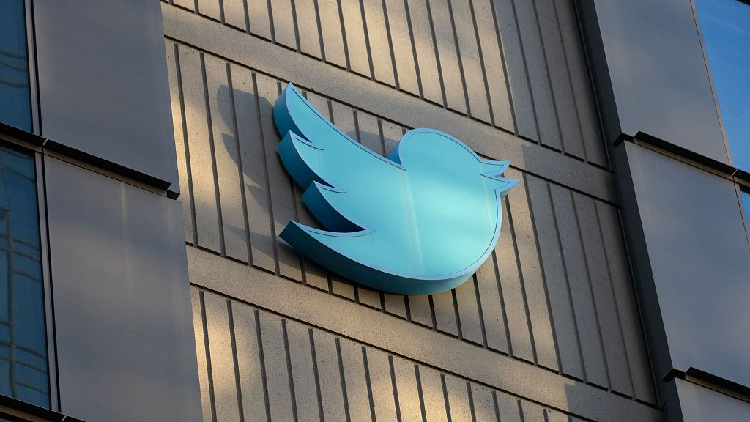 Elon Musk introduces new Twitter CEO - CGTN