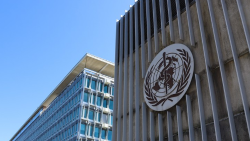 WHO calls for safe, ethical use of AI tools for health - CGTN