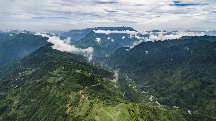 Qinling Mountains: Global biodiversity hotspot in NW Shaanxi - CGTN