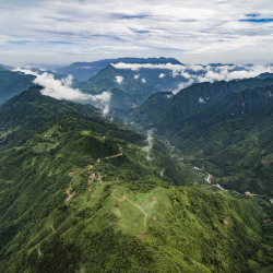 Qinling Mountains: Global biodiversity hotspot in NW Shaanxi - CGTN