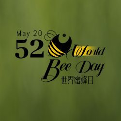 May 20: World Bee Day - CGTN
