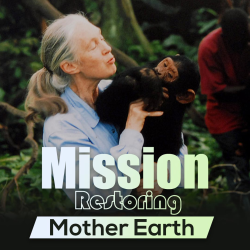 Interview with Jane Goodall: Mission Restoring Mother Earth - CGTN