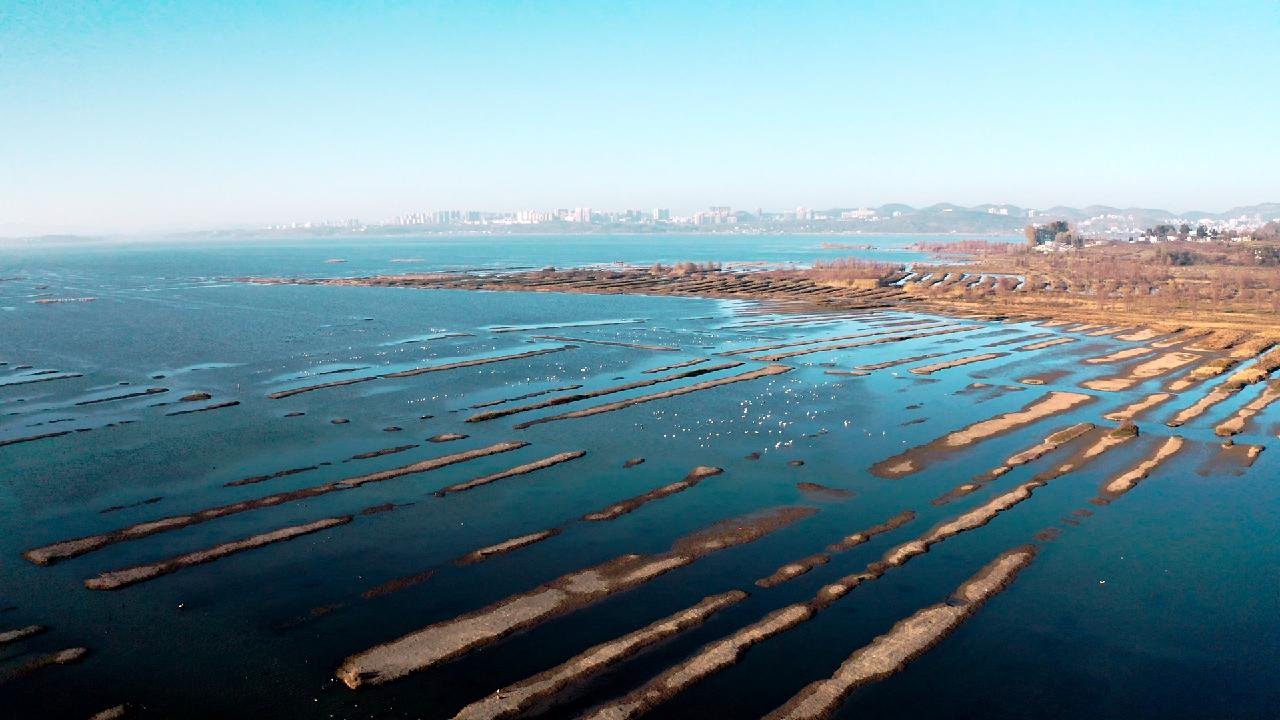 Central Guizhou Series | Episode 7: Grass sea in Weining - CGTN