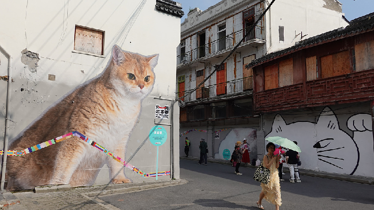 Cat street in Shanghai - CGTN