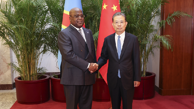 China's top legislator: China to push ties with DRC to higher level - CGTN