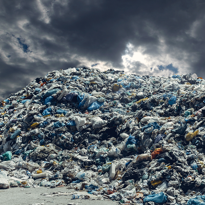 More action against plastic pollution needed, says WWF section lead - CGTN